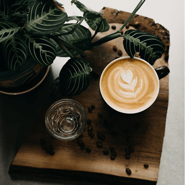 Ozo Coffee | Cafe Partner Spotlight | Outrageous Baking